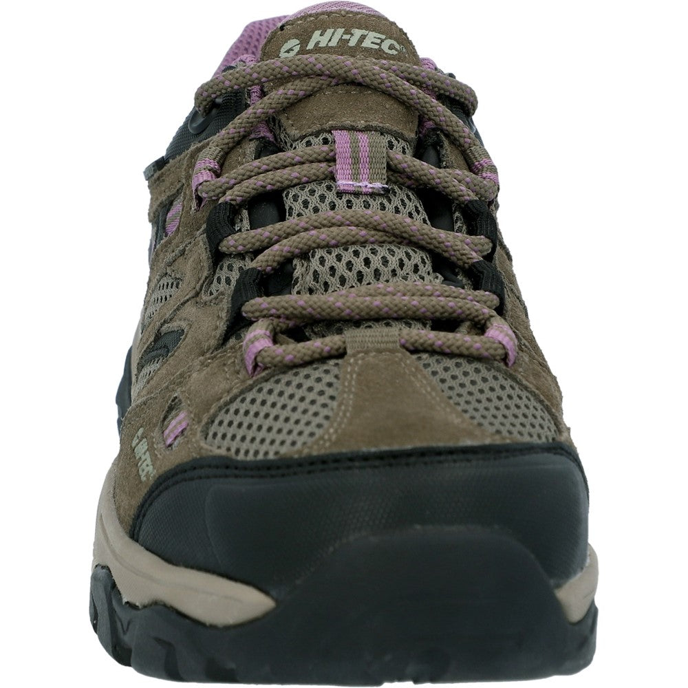 Womens Hi-Tec Apex Lite Low Hikers Taupe – Brantano